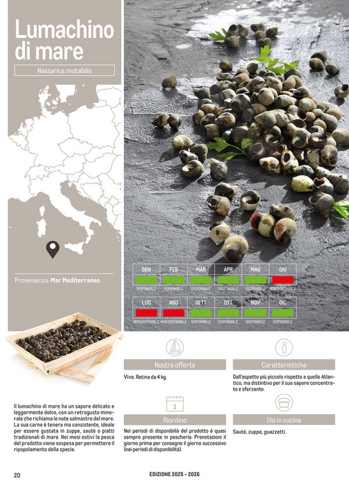 METRO IT - Catalogo Frutti di Mare 2025 - Pagina 20